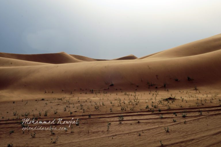 Deserts of Saudi Arabia - Splendid Arabia